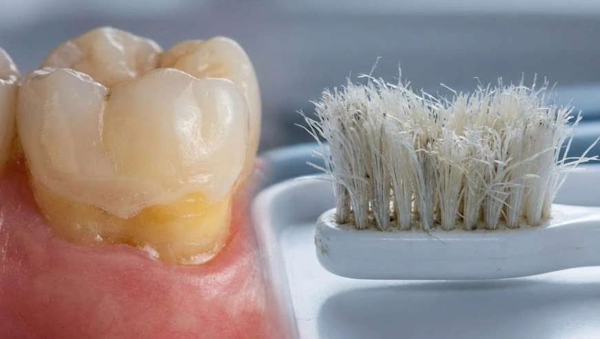 Is Brushing 3 Times a Day Actually Too Much? | LEMA