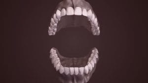 How Many Teeth Do Humans Have? - Lema Dental Clinic